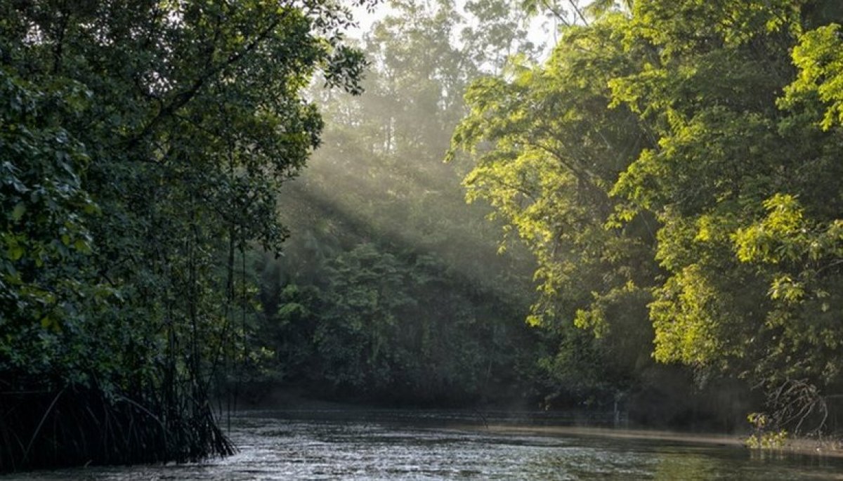 Por Qué La Leyenda De La Ciudad Perdida En El Amazonas No Tiene