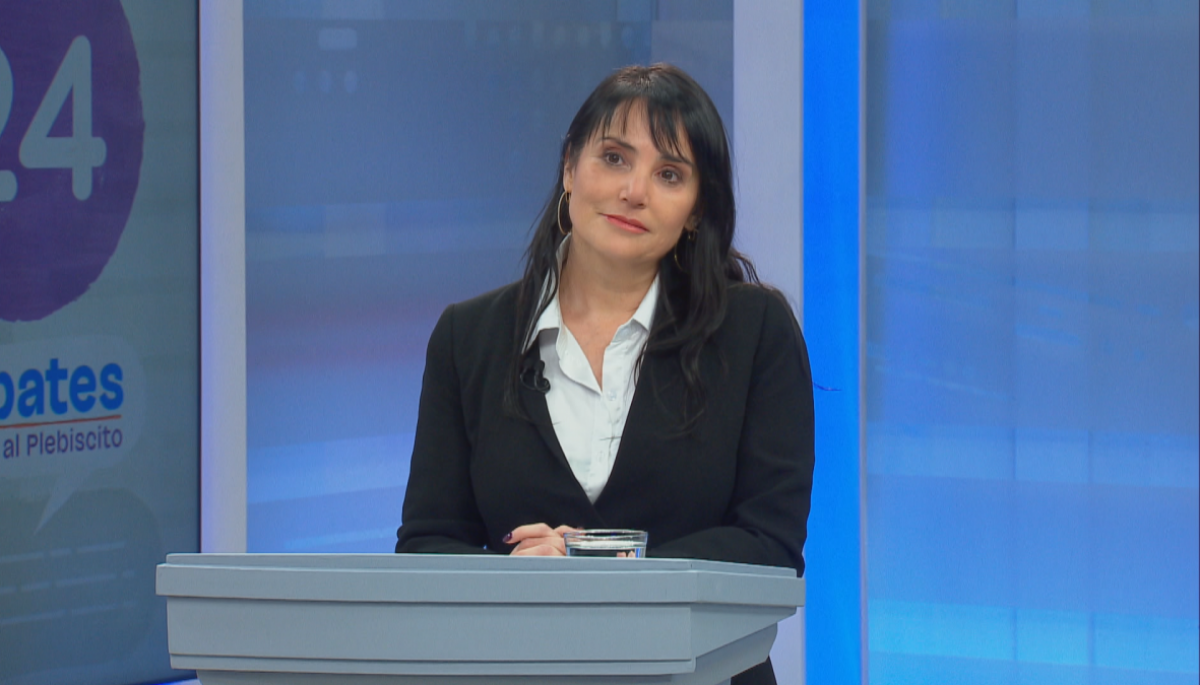 Michelle Labbé y propuesta económica de texto constitucional: "No da ...