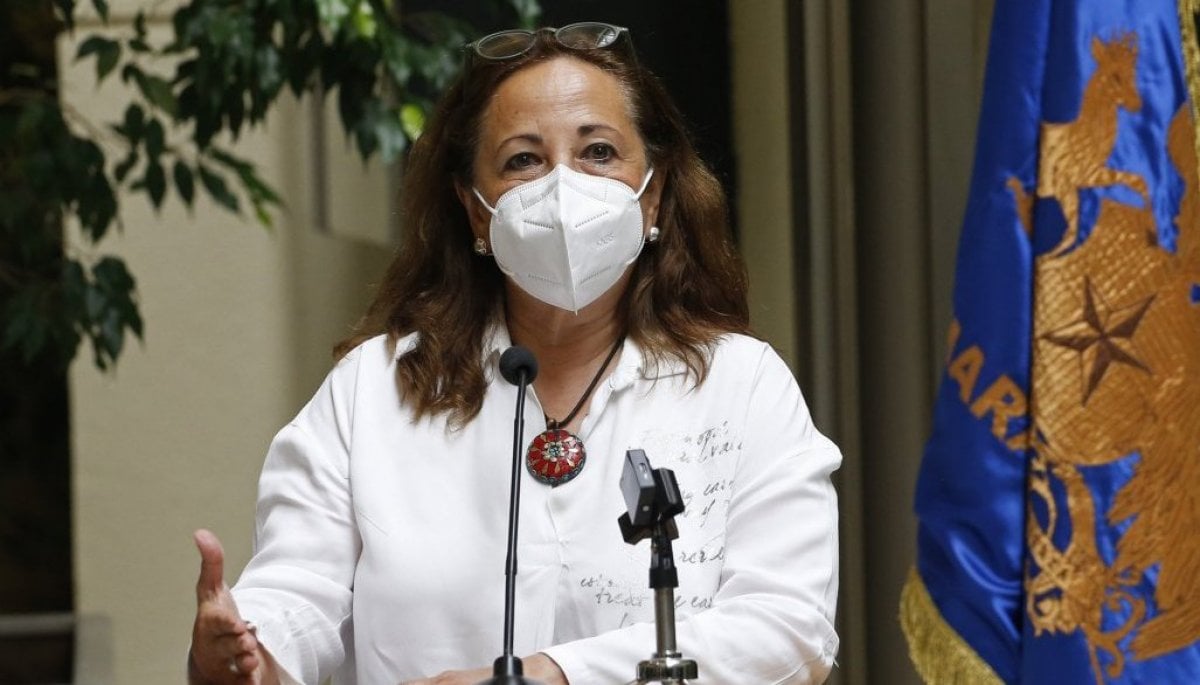 Senadora Sepúlveda por TPP11: "Existen preguntas que deberíamos ...