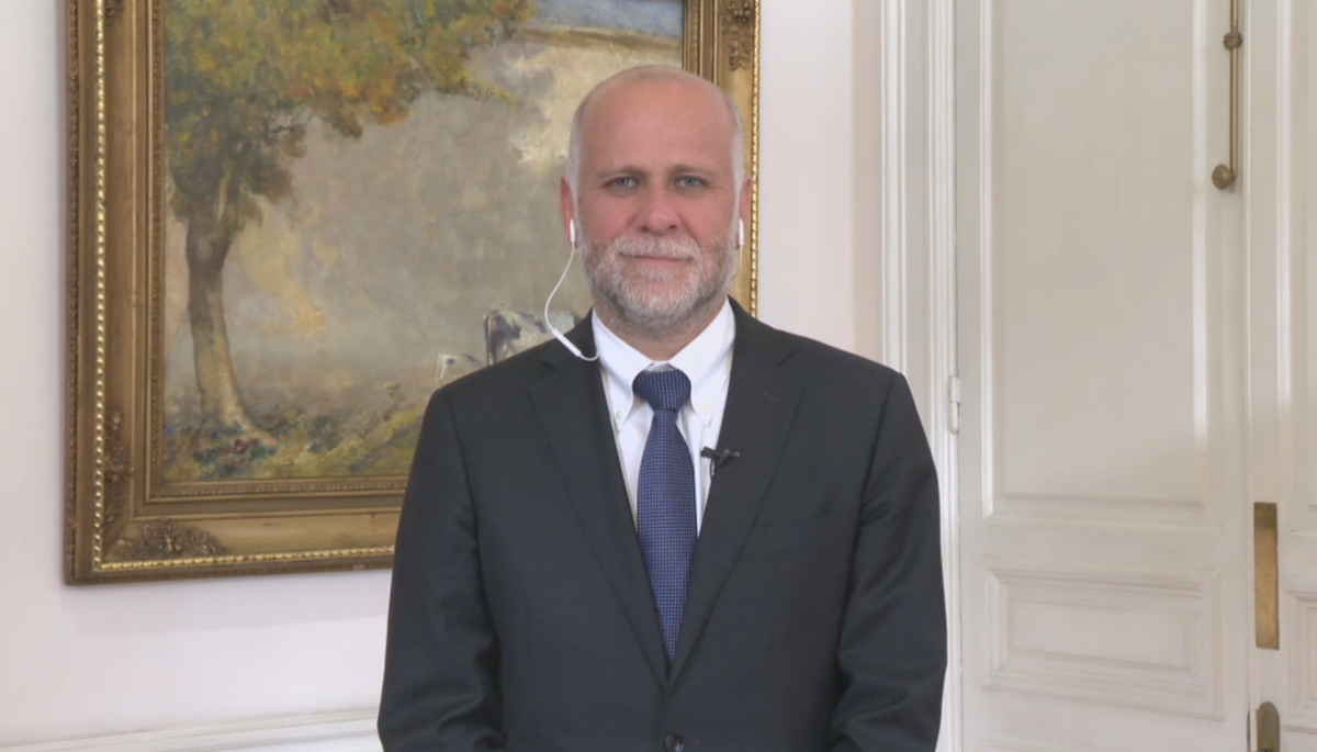 Álvaro Elizalde y proceso constituyente: "El Gobierno debe acompañar ...