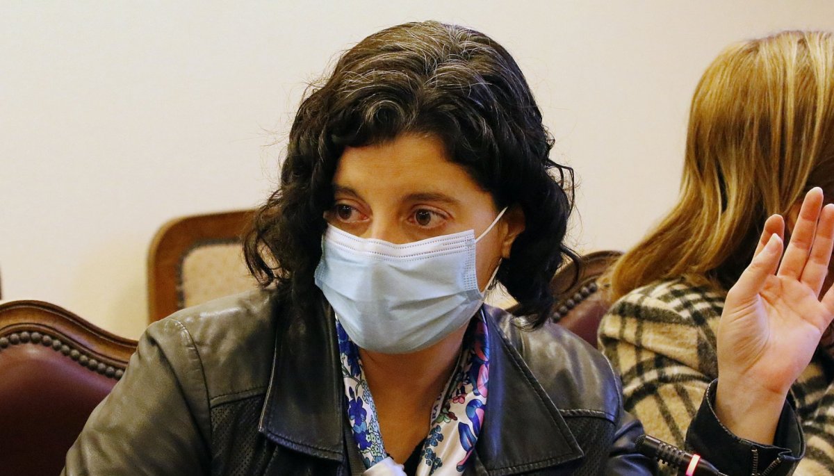 Daniela Dresdner, delegada presidencial del Biobío: "El robo de madera ...