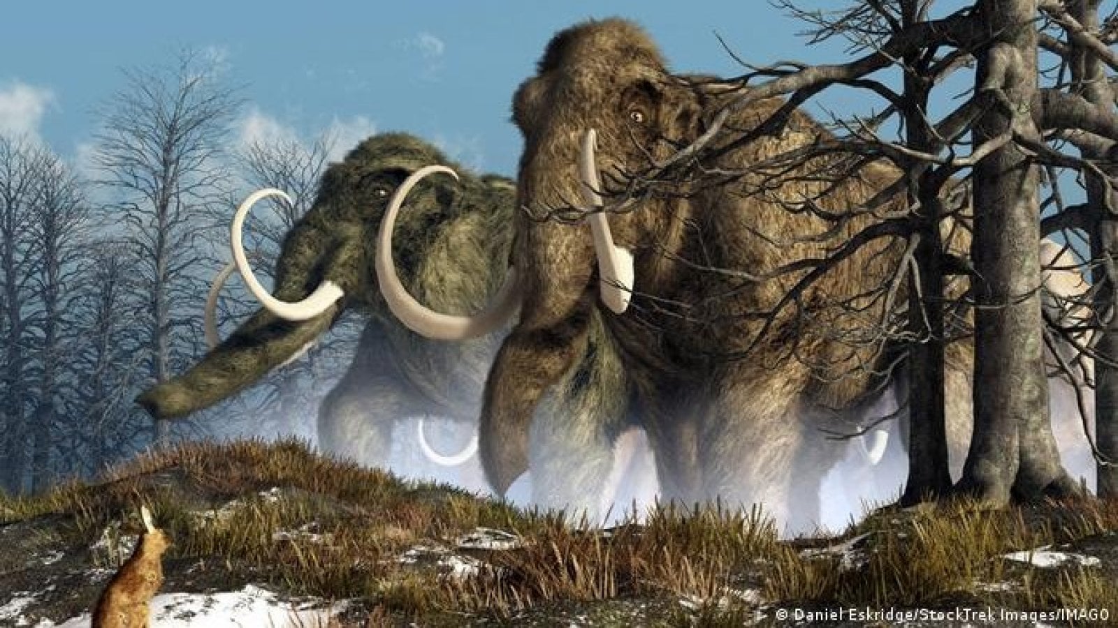La CIA pretende resucitar al mamut lanudo de la extinción, ¿por qué ...