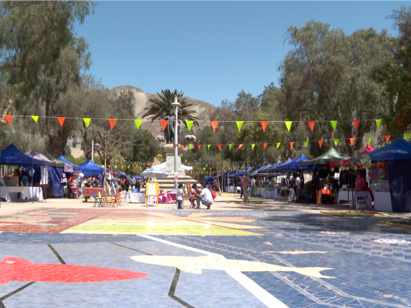 Con una amplia convocatoria se desarrolló un nuevo Boulevard Alameda ...