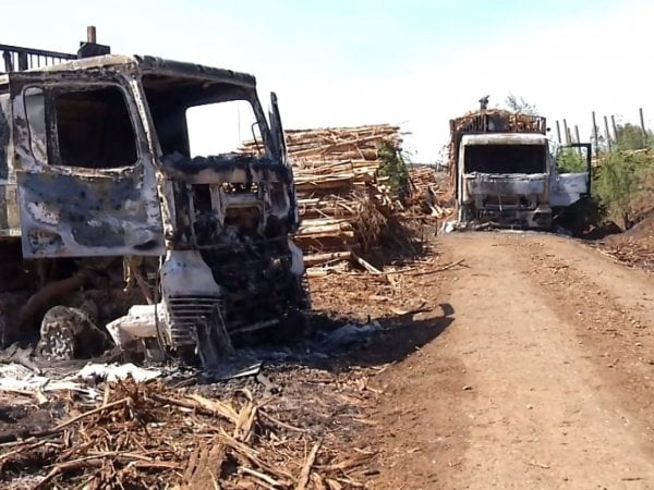 Atentado incendiario en Mulchén | 24horas
