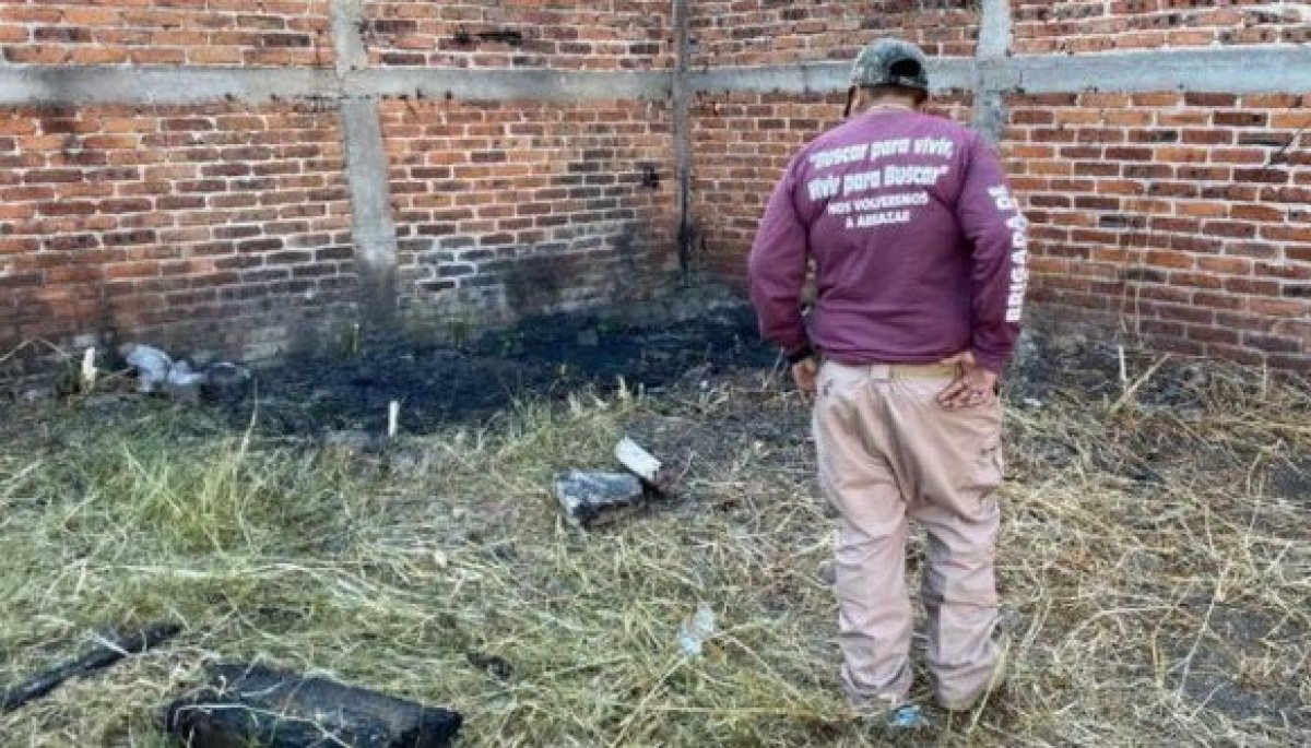 Perro con pierna humana en su hocico llevó a autoridades a macabro ...