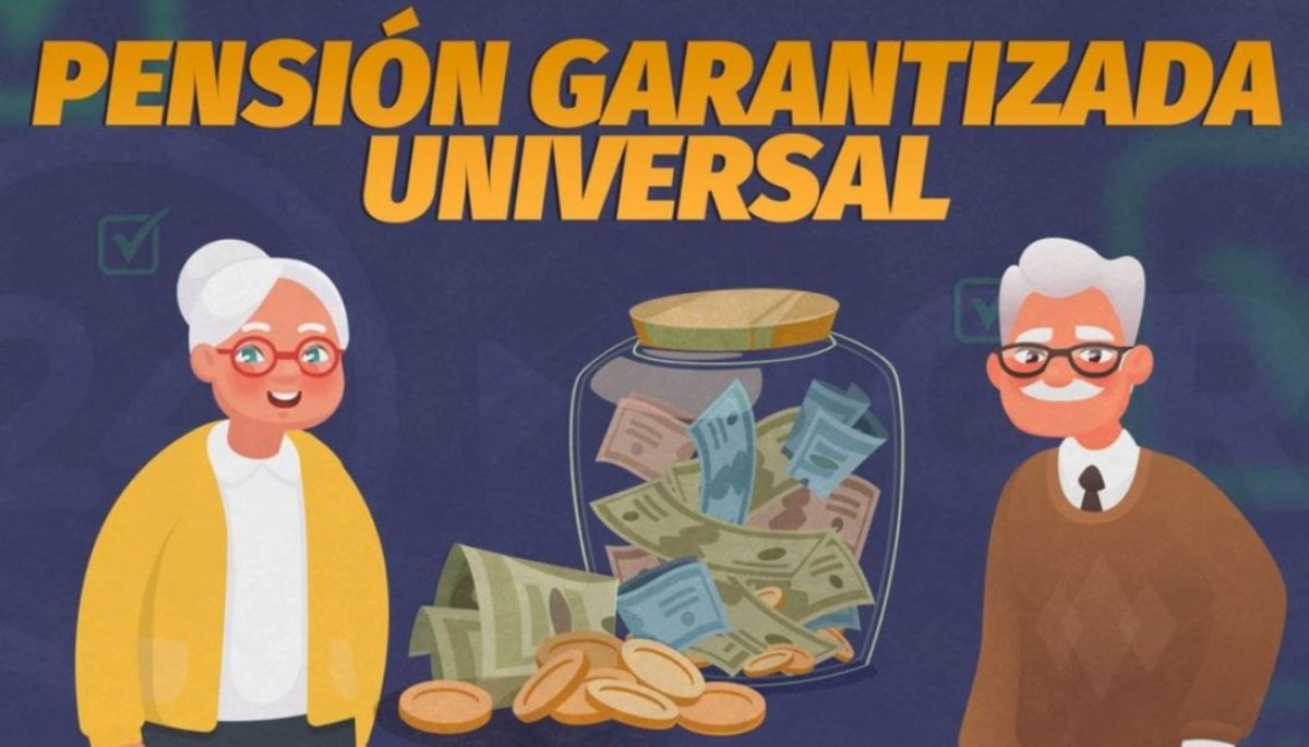 PGU: revisa con tu RUT y fecha de nacimiento si la puedes pedir | 24horas