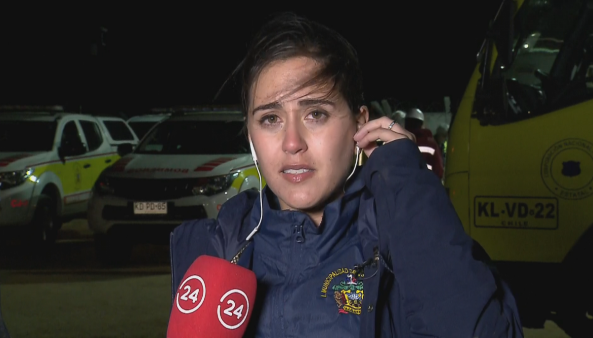 Alcaldesa Ripamonti confirma riesgo en Museo Artequín y Quinta Vergara ...