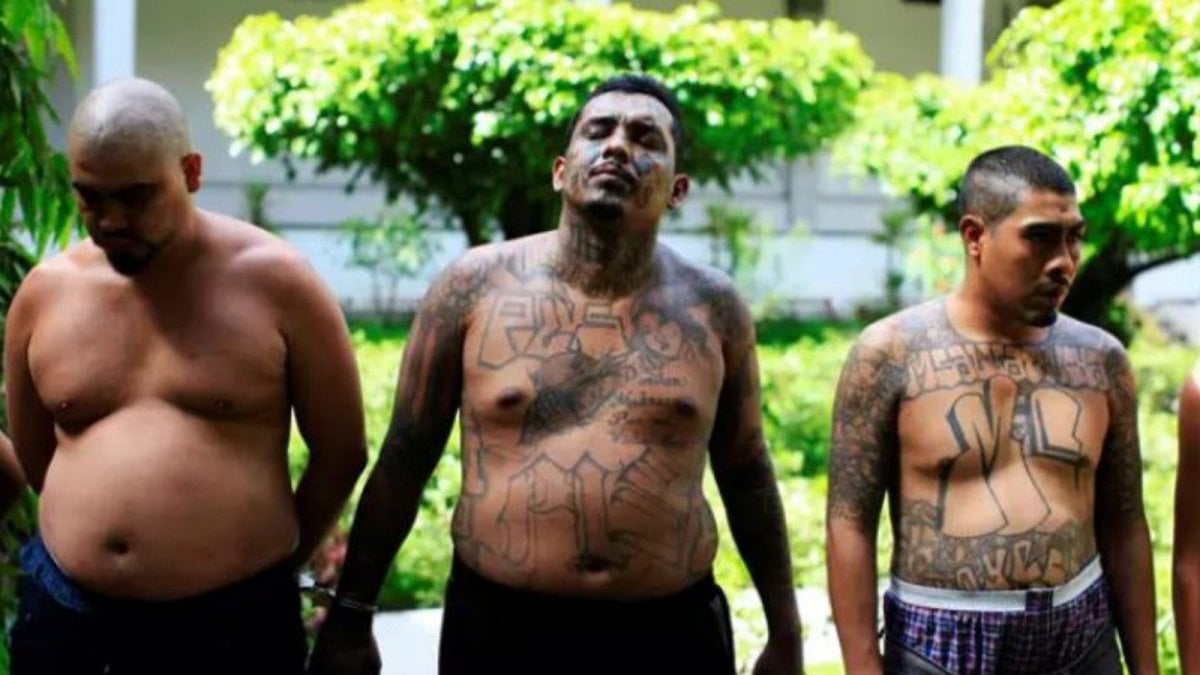 Investigadora y preocupación por 'Las Maras': "Tenemos elementos ...