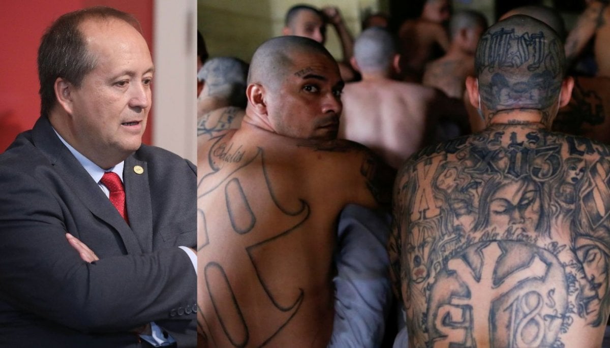 ¿Maras en Chile?: lo que respondió el Fiscal Nacional sobre versiones ...