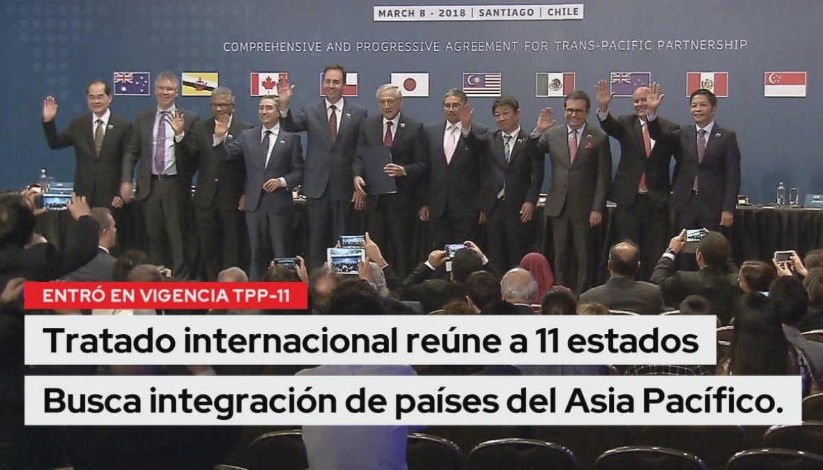 Entró en vigencia TPP-11: potencialmente representará un ingreso de 1.200 millones de dólares al ...
