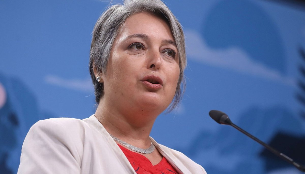 Jara y reforma previsional: "La propuesta de Chile Vamos es más a la ...