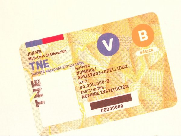 Llaman a renovar la TNE | 24horas