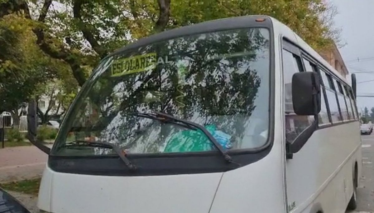 Entre Tirúa y Cañete: grupo atacó a tiros un bus con escolares | 24horas