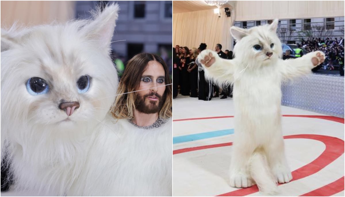 Jared Leto se disfraza de gato en la Met Gala | 24horas