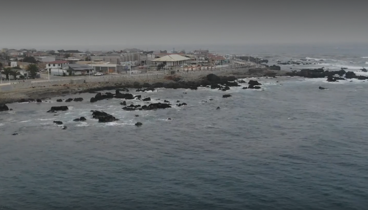 Frontera Azul: Estas son las especies que habitan el mar chileno | 24horas