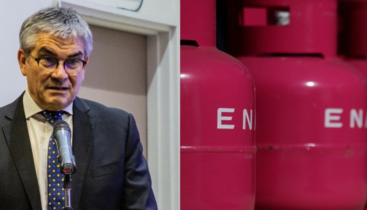 Ministro Marcel y 'Gas de Chile': "Es evidente que el plan piloto no ...