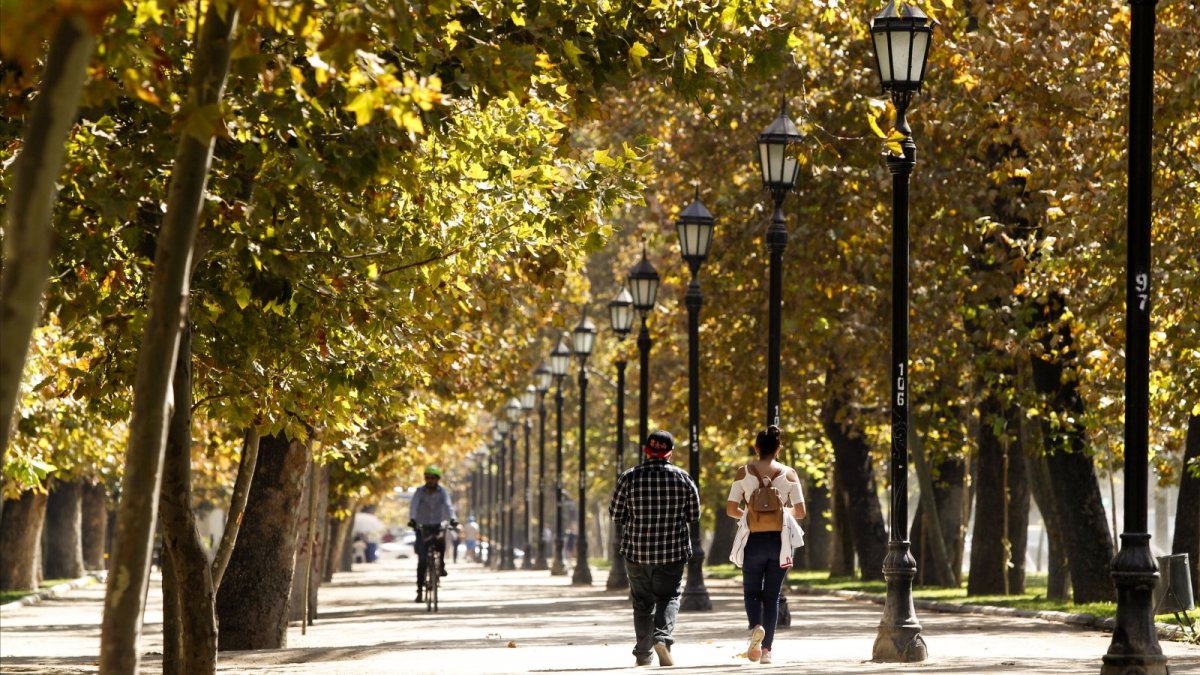 Climatólogo por otoño cálido: "Es un récord que confirma una tendencia ...