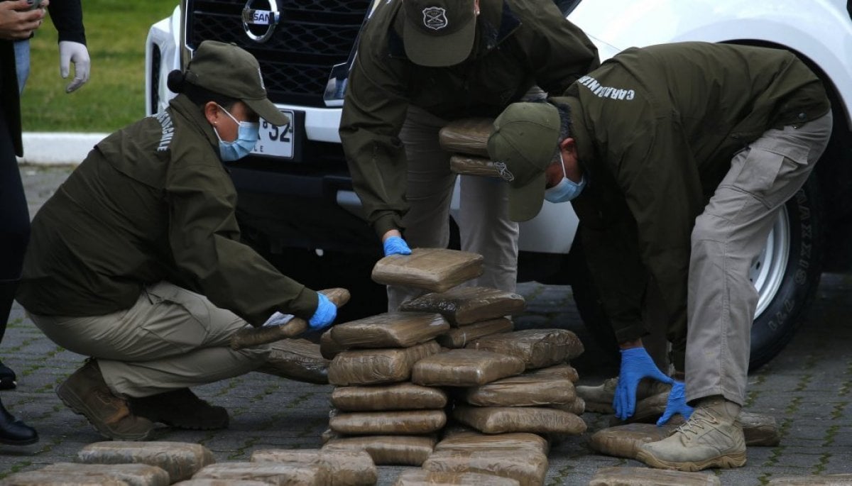 Cae banda que ingresó alta cantidad de droga tipo kripy colombiana ...