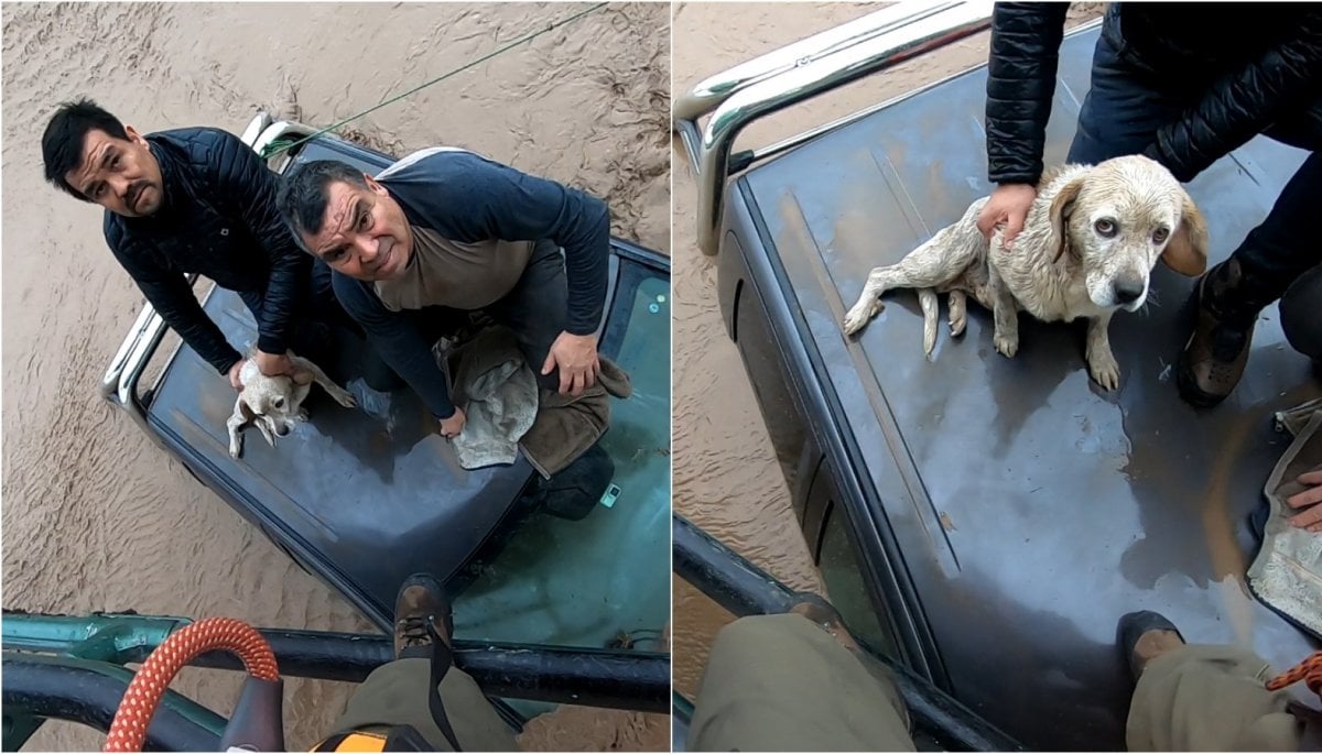 Cómo fue el difícil rescate de dos hombres y su perro en el río Maipo ...