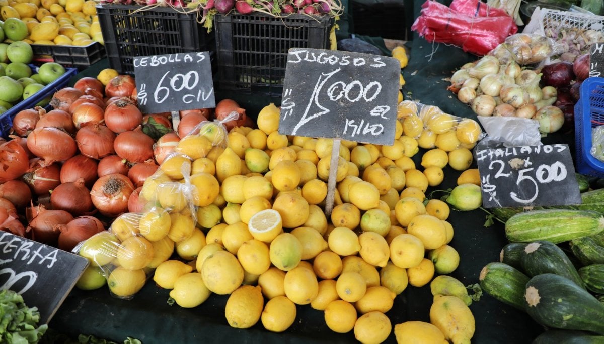 "No hay razón para subir precios" de frutas y verduras: Sociedad ...