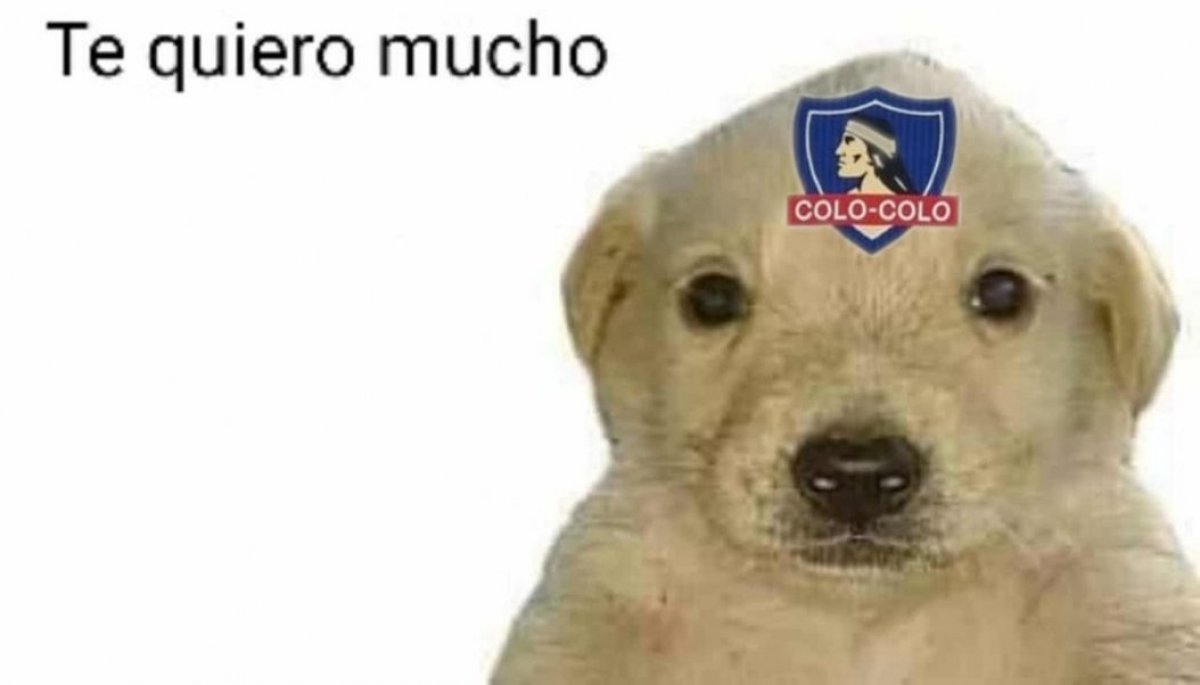 Colo Colo vs. América Mineiro, Copa Sudamericana | ¡Nunca fallan! Los ...