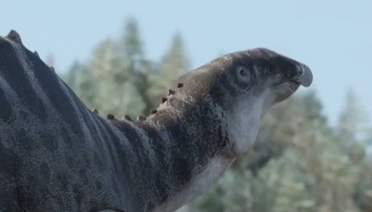 Gonkoken nanoi: Descubren nueva especie de dinosaurio en la Patagonia ...