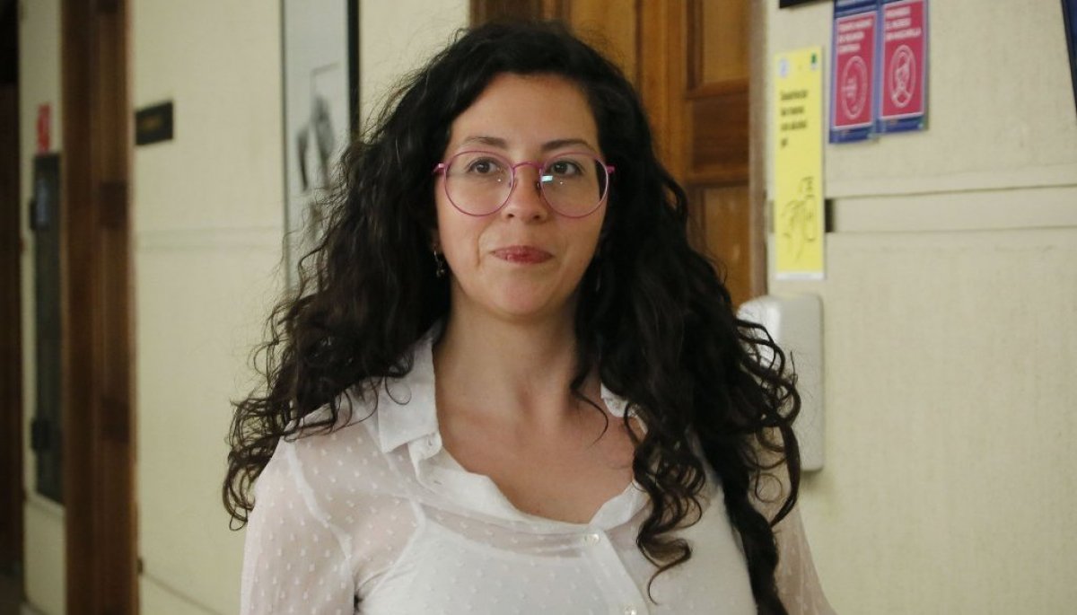 Diputada Yeomans: "La obsesión de la UDI con Jackson no puede trabar el ...