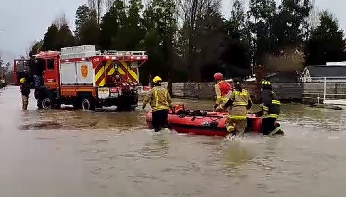 Gran operativo de búsqueda por persona caída al río Laja | 24horas