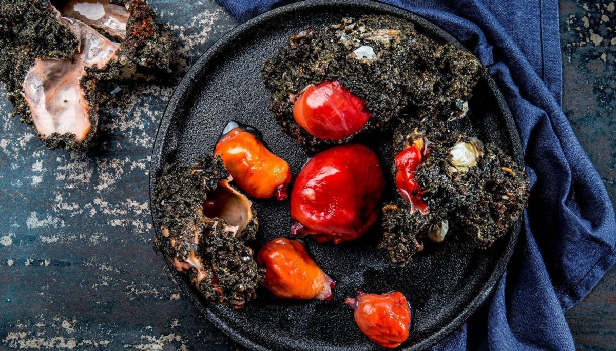 Qué es el piure, el marisco "de otro mundo" que gana espacio en la alta ...