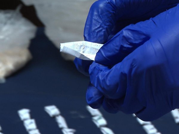 Incautan más de 19 millones de pesos en droga | 24horas