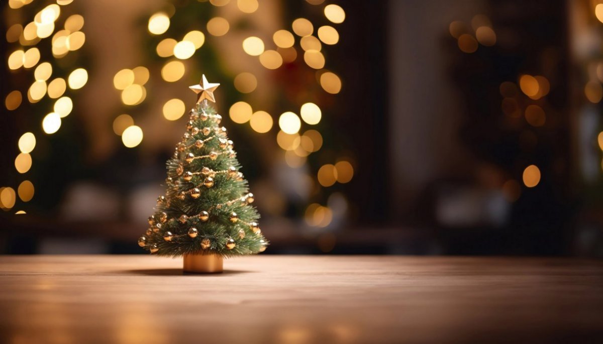 ¿Qué tipo de feriado es Navidad el 25 de diciembre? | 24horas