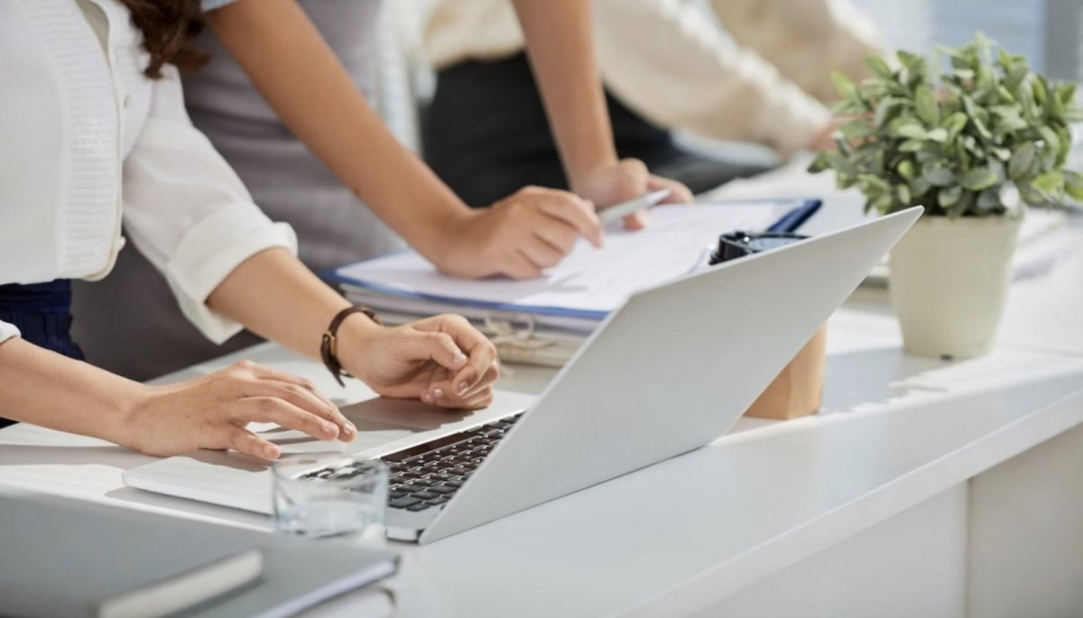 Las carreras con mayor empleabilidad en Chile 2024 | 24horas