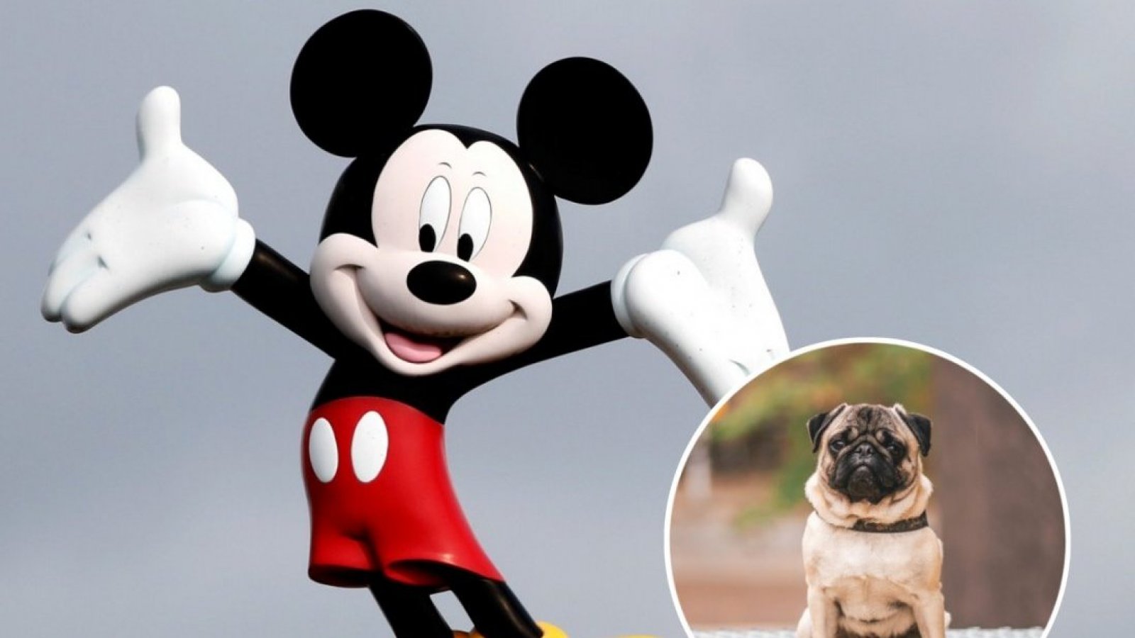 Es Mickey Mouse Un Perro