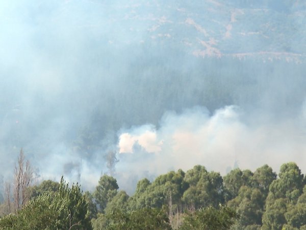 Nuevas Estrategias Para Prevenir Incendios Forestales 24horas
