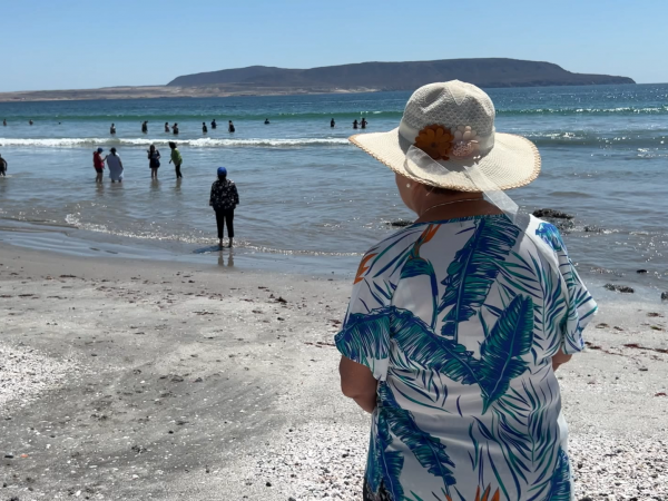 Viajes gratuitos a la playa | 24horas