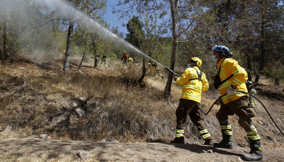 Declaran Alerta Roja para la comuna de Collipulli por incendio forestal ...