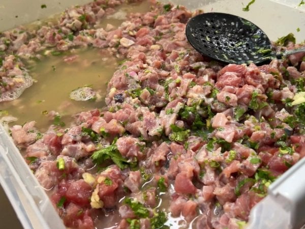 CHAO PESCAO | 24horas