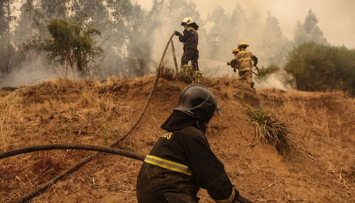 Alerta Roja para Collipulli por incendio forestal: amenaza a zona ...