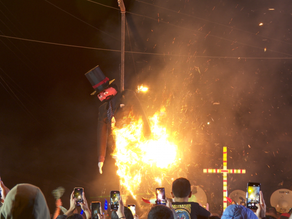 TORO PULLAY | 24horas