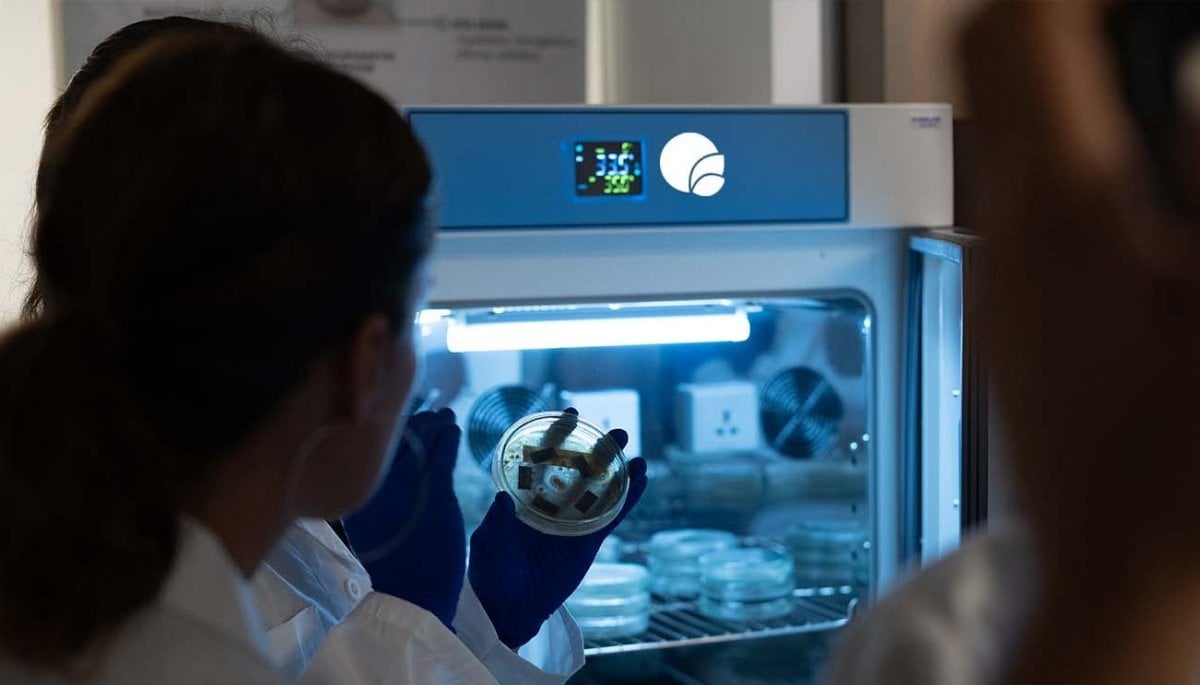 Bioelements instala su nuevo laboratorio en Chile | 24horas