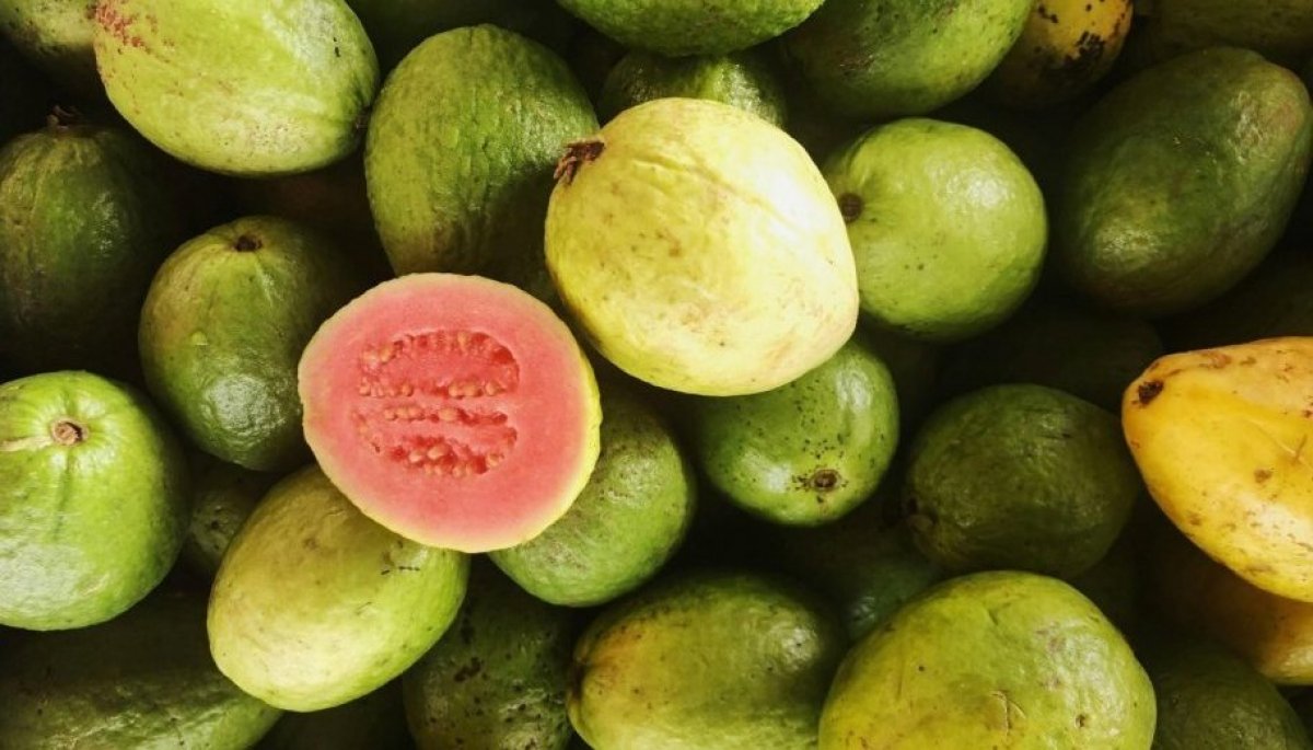 Guayaba: propiedades, características y beneficios | 24horas