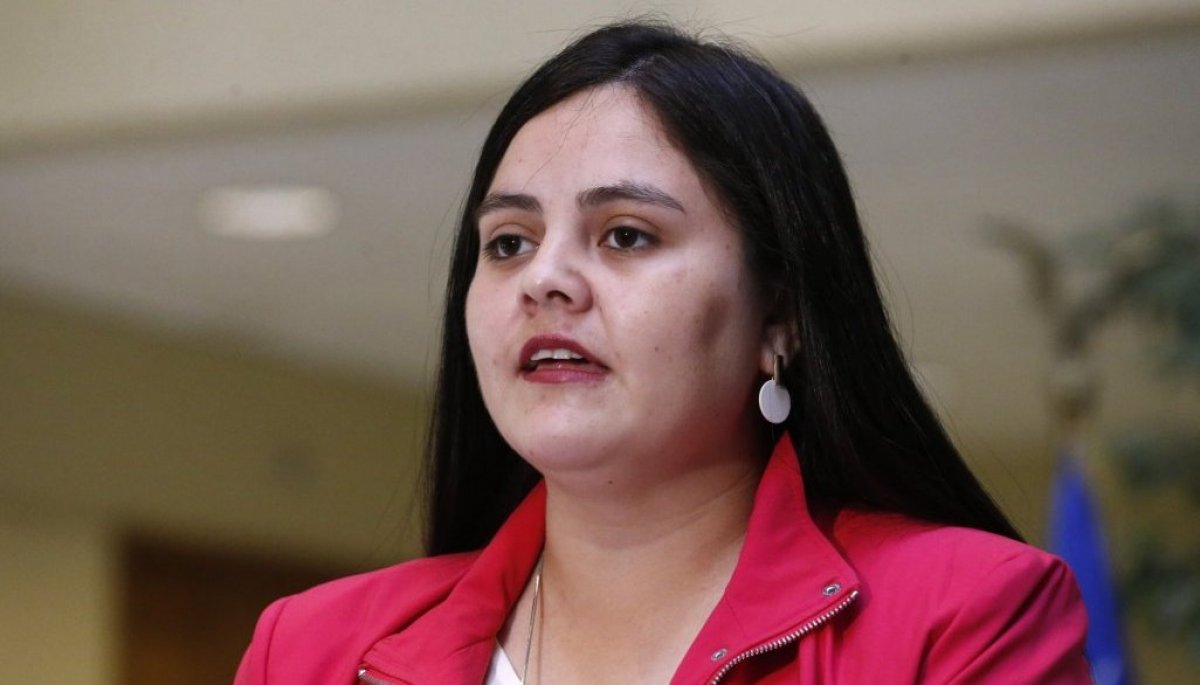 Diputada Sara Concha y elección de mesa de la Cámara: "Las presiones ...