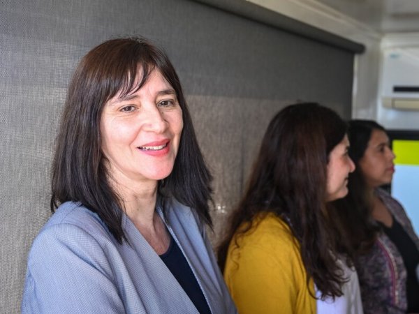 Daniela Dresdner, delegada presidencial del Biobío: "El robo de madera ...