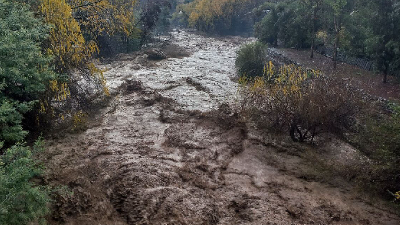 Declaran Alerta Roja En Freire Por Desborde De Estero Pelales 24horas