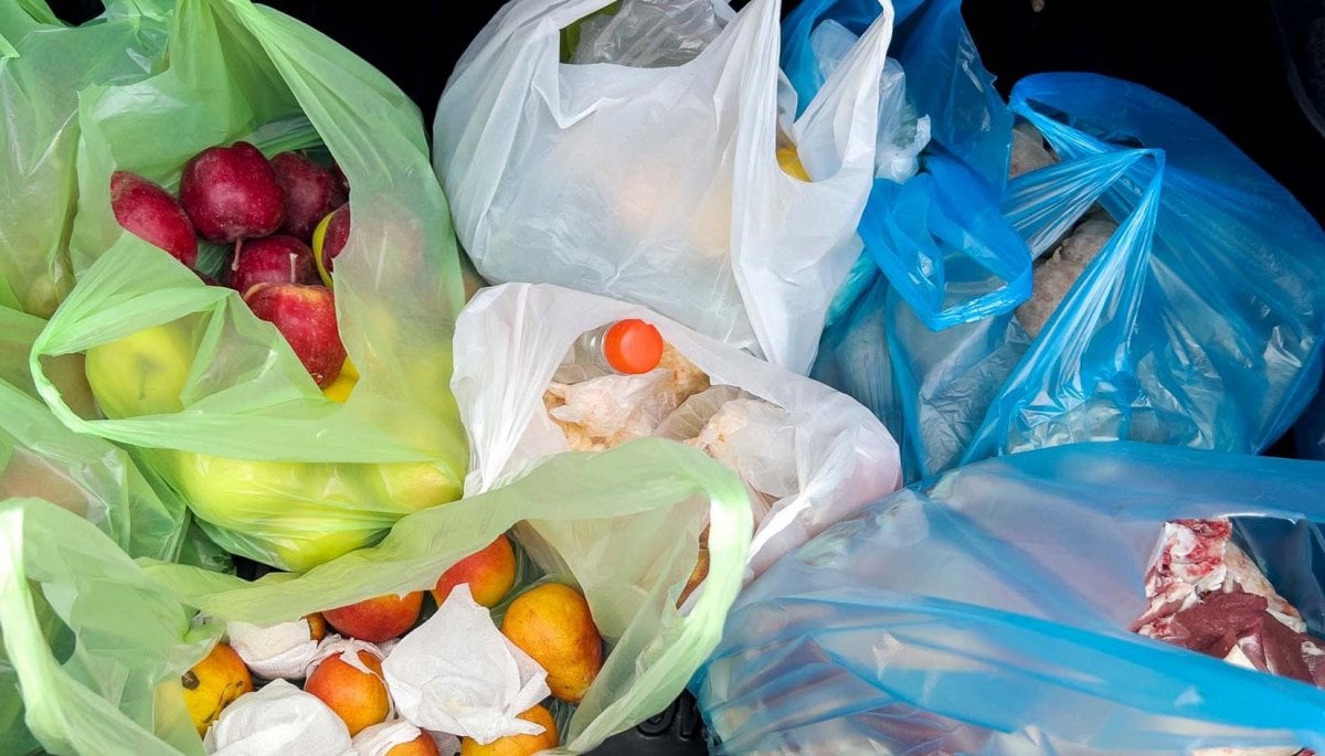 Día Internacional Libre de Bolsas Plásticas: impacto y soluciones | 24horas