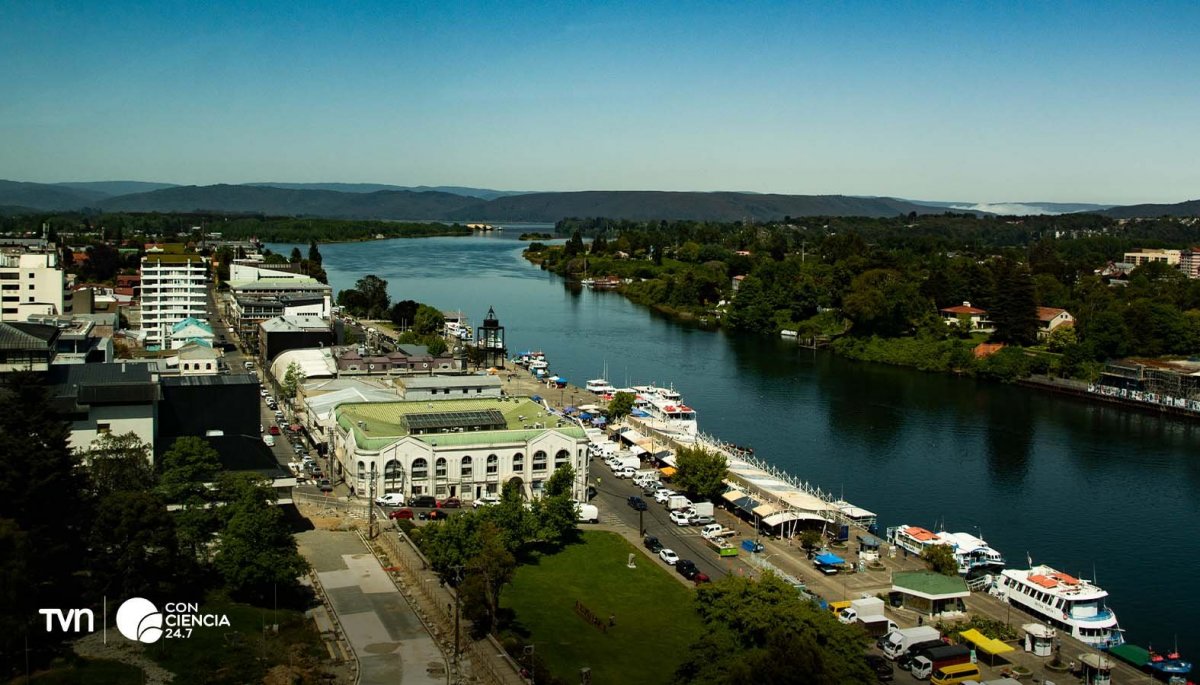 Valdivia será sede del primer IRONMAN 70.3 carbono neutral | 24horas