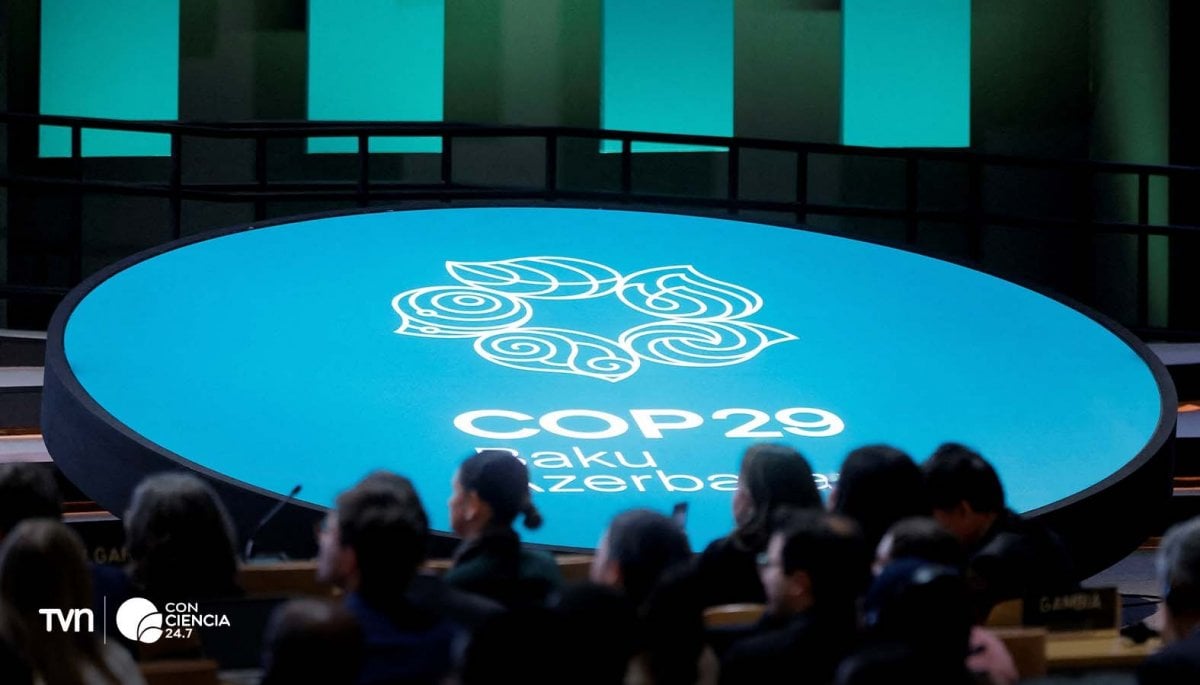 Estos fueron los principales acuerdos de la COP29 | 24horas
