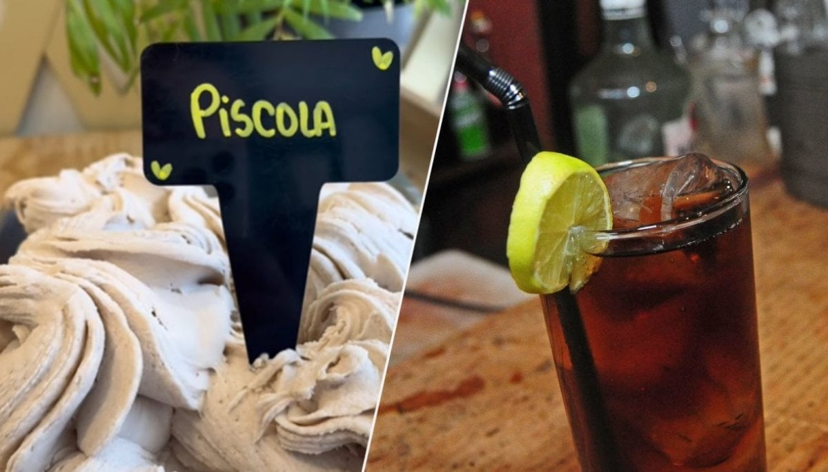 Nace en Valdivia el helado sabor "piscola" | 24horas