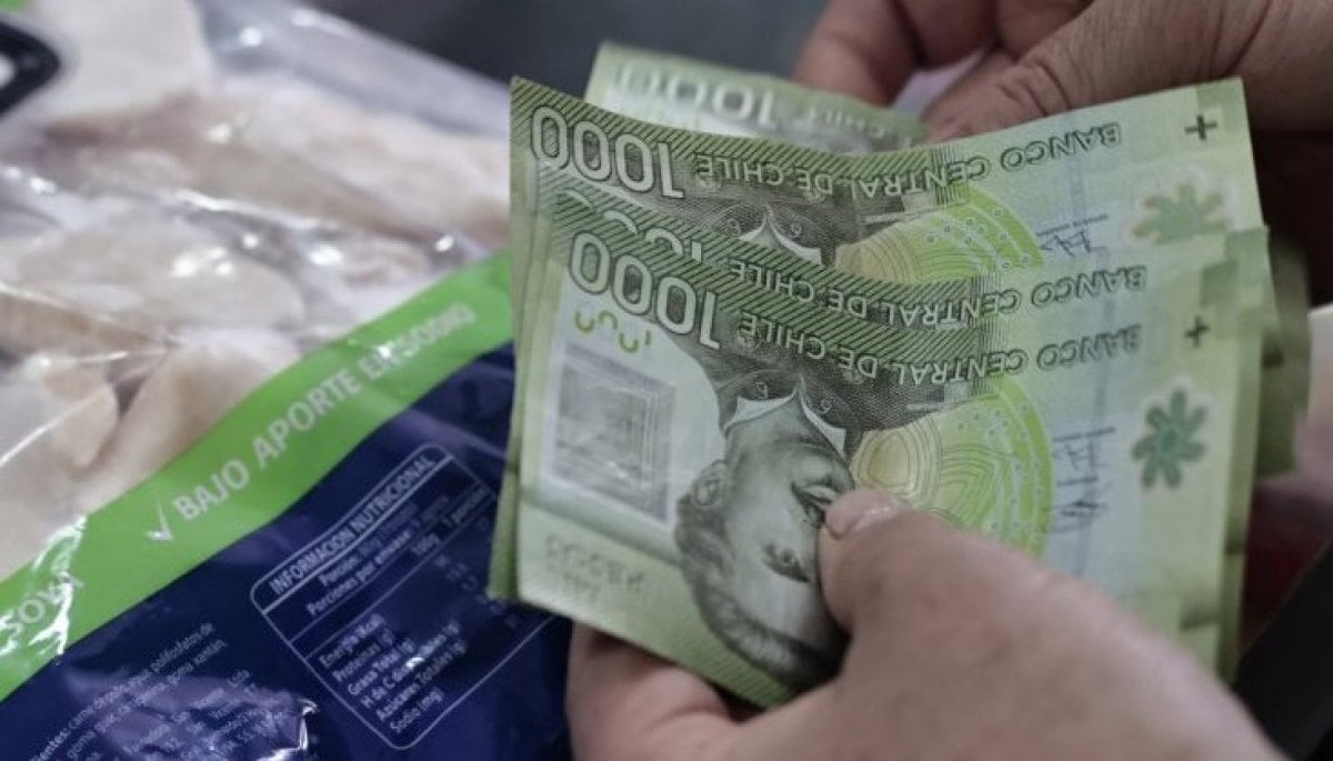 Pago por colusión de los pollos: monto y fechas para beneficiarios de ...