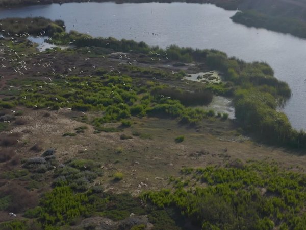 24 Horas visitó el humedal los Maitenes-Campiche en Ventanas | 24horas